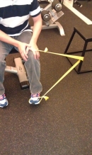 HEP2go - Build a HEP For Free