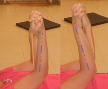 HEP2go - Build a HEP For Free