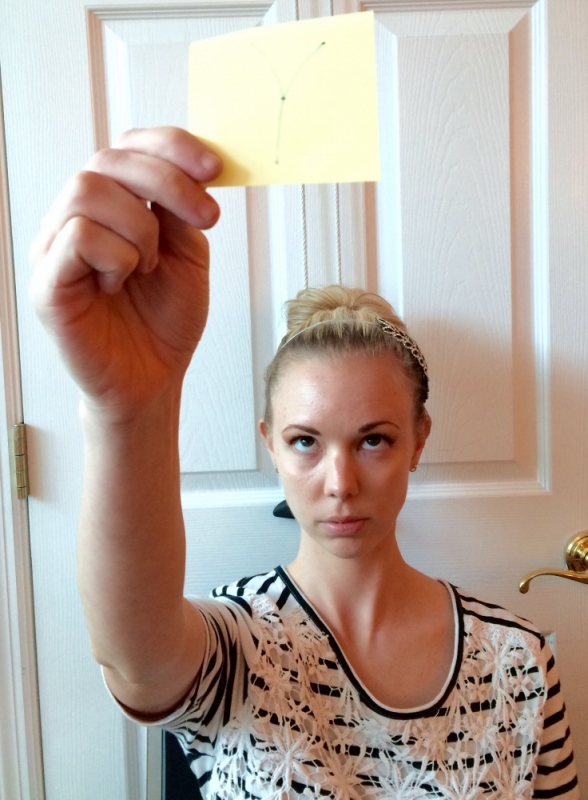 HEP2go - Build a HEP For Free