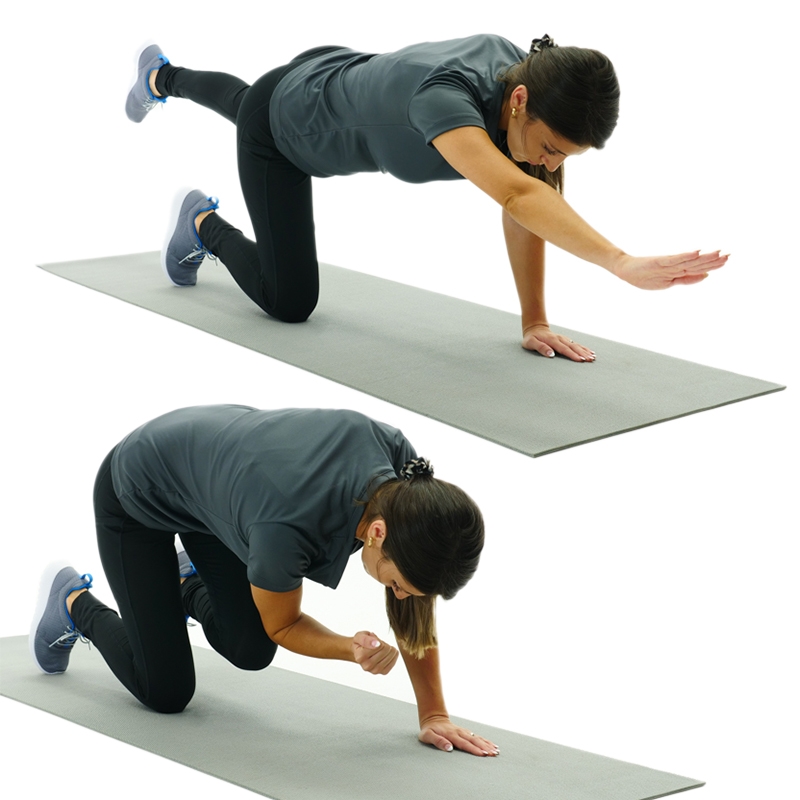 HEP2go - Build a HEP For Free