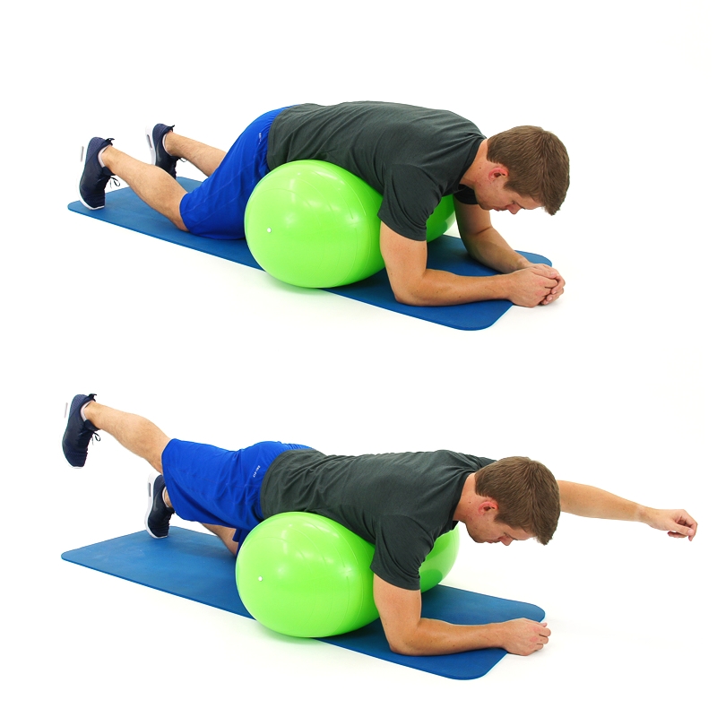 HEP2go - Build a HEP For Free