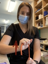 HEP2go - Build a HEP For Free