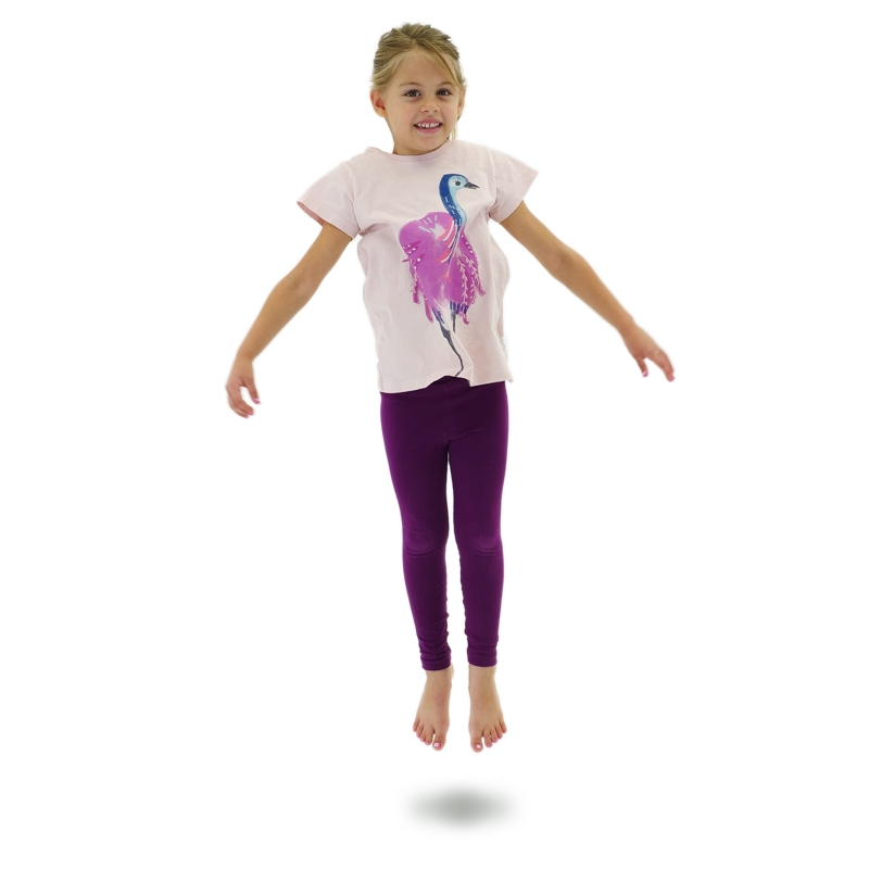 HEP2go - Build a HEP For Free