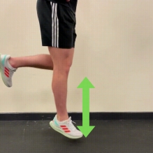 HEP2go - Build a HEP For Free