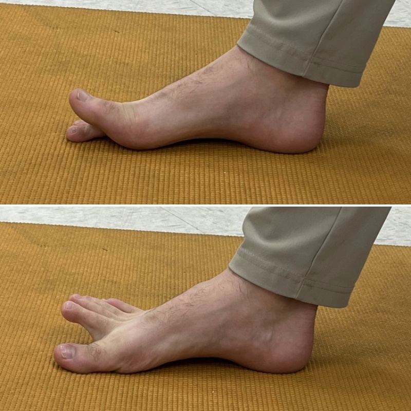 HEP2go - Build a HEP For Free